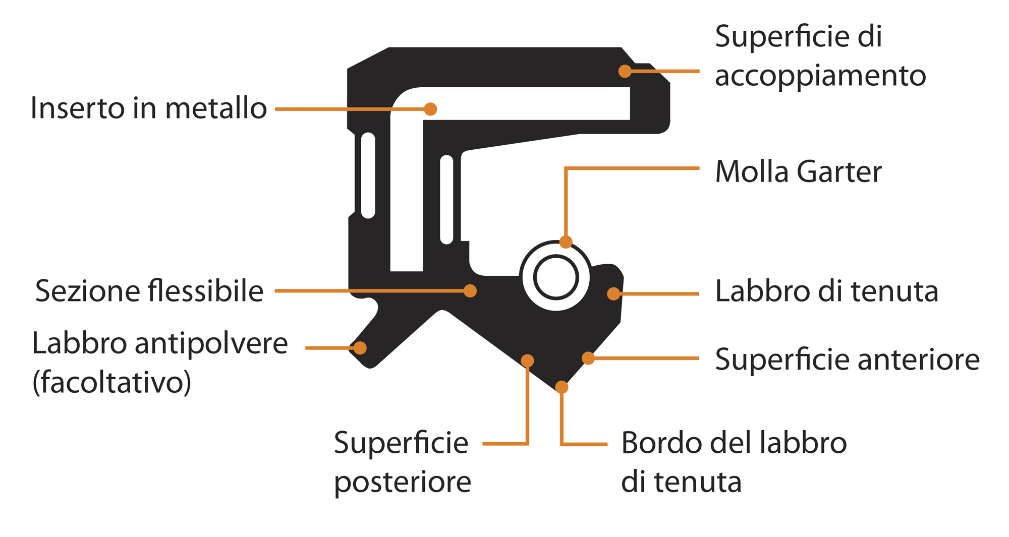 Raccomandazioni relative alle tenute radiali per alberi, a protezione ...