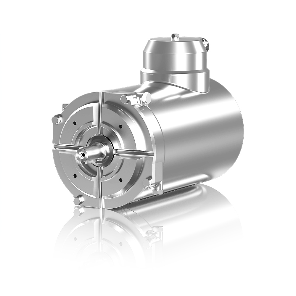 Motori per industria alimentare